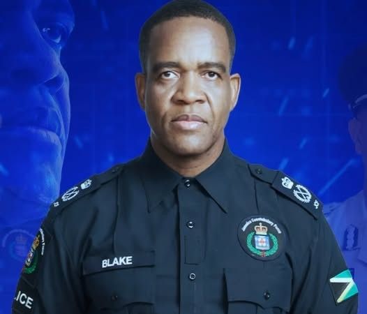 Police Commissioner Dr. Kevin Blake says it's illegal for officers to compel citizens to provide ...