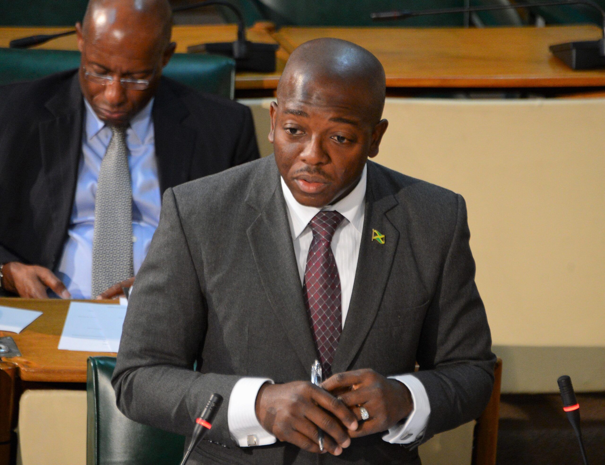 Labour Minister Charles Jr. stresses the importance of people ...